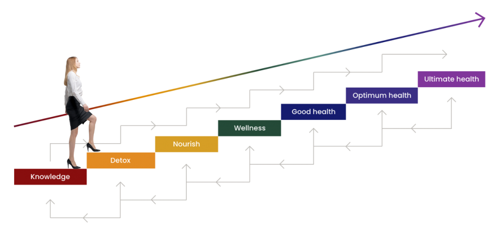 Health Dynamics – Accelerator - Health Dynamics 360